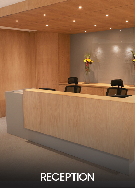 Lotus infra projects